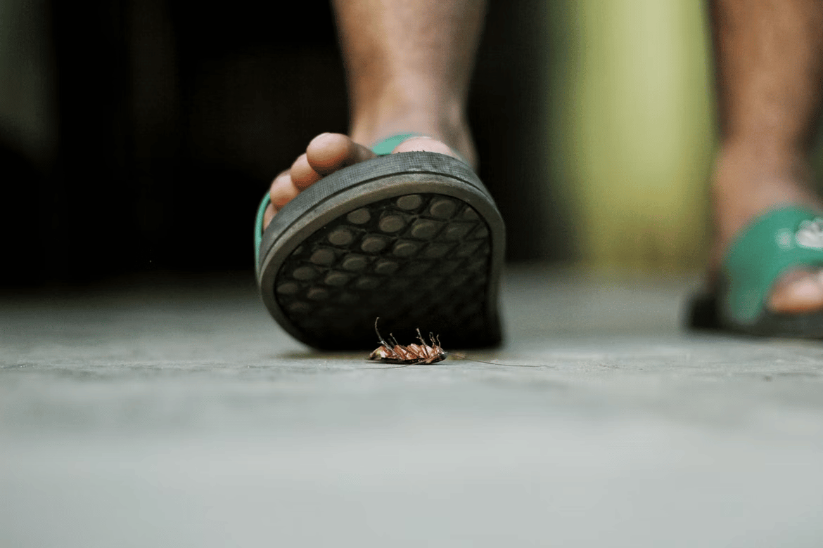 Pest Control Tips: How To Keep the Intruders Out - ISN